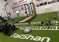 China 16mm Pile Height Sled Turf with Customized Color Pattern and UV Resistance for Gym Fitness for sale