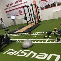 China 19mm Pile Height UV Resistant Artificial Grass for Sports Fields with Non-infill Installation for sale