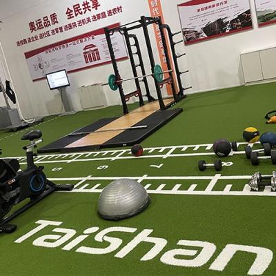 China 19mm Pile Height UV Resistant Artificial Grass for Sports Fields with Non-infill Installation for sale