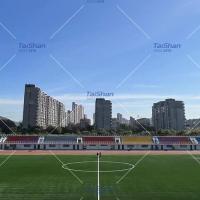 China FIFA Certified 60mm Pile Height UV Resistant Artificial Turf for Football Fields for sale