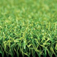 China 13mm Green Artificial Turf for Golf Hockey and Padel Sports for Wholesalers and Distributors for sale