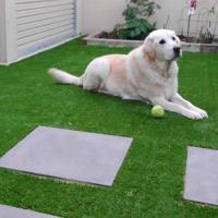China 35mm Pile Height 9600 Dtex Landscape Artificial Grass For Sports Events And Outdoor Activities for sale