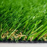 China Multi Functional Green Artificial Grass 30mm pile height With PU coating and double PP backing for sale