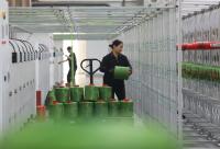 China FIFA and FIH Double Certified Artificial Turf with Customizable Grass Height and Low Maintenance Cost for sale