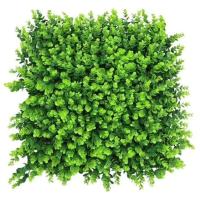 China PE Polyethylene Outdoor Artificial Wall Grass Durable Eco Friendly For Room And Shops Decoration for sale