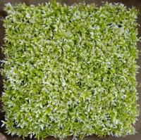 China Artificial Wall Grass PE Material Customizable For Dust And Dirt Prevention In Indoor And Outdoor Spaces for sale