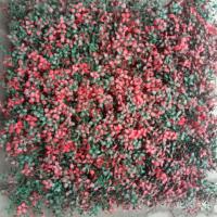 China Easy Installation Artificial Fake Wall Grass 50cm*50cm Size With Excellent Performance And Low Maintenance for sale