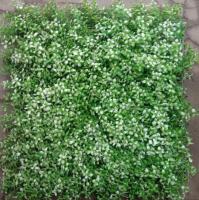 China UV Resistance Low Maintenance Artificial Wall Grass For Beautiful Comfortable Living Spaces With Square Shape for sale