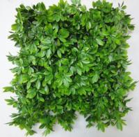 China Schools Parks Playgrounds Outdoor Artificial Wall Grass Easy To Install for sale
