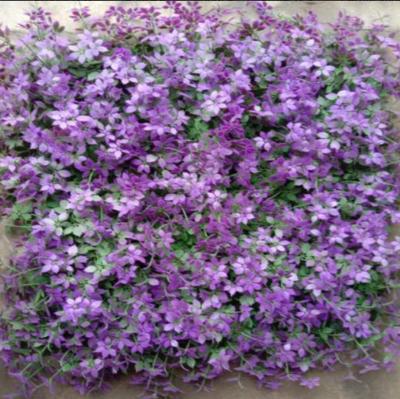 China 50cm*50cm Size Artificial Wall Grass Strong Durability Fast Drainage For Decoration And Beautification for sale
