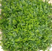 China Home Decoration Artificial Wall Grass Create Natural Educational Environment For Kids for sale