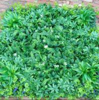 China 100cm*100cm Size Wall Fake Grass Highly Realistic Appearance for sale
