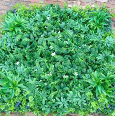 China 100cm*100cm Size Wall Fake Grass Highly Realistic Appearance for sale
