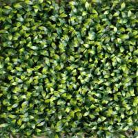 China Beautify Outdoor Space Plastic Grass Wall Garden Walls Sheds Building Facades for sale
