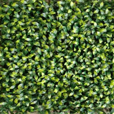 China Beautify Outdoor Space Plastic Grass Wall Garden Walls Sheds Building Facades for sale