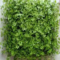 China Use  Artificial Wall Grass to Create A Comfortable And Natural Environment In Schools Hospitals Subway Stations And Airports for sale