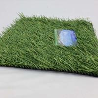 China FIFA Certified 55mm Pile Height 12000 Dtex Football Artificial Turf for High Performance Sports Fields for sale