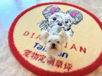 China UV Resistant Customizable Colors Artificial Grass for Kindergartens and Pets with Low Maintenance for sale