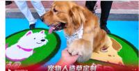 China UV Resistant Customizable Colors Artificial Grass for Kindergartens and Pets with Low Maintenance for sale