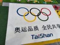 China Customizable Logo Pattern Artificial Grass Synthetic Turf with Excellent Fire Resistance and UV Resistance for sale