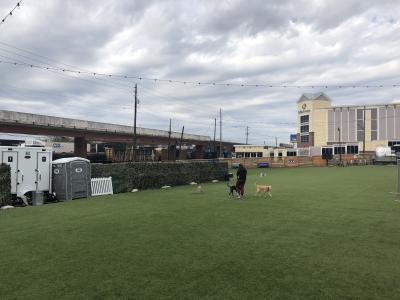 China Realistic Landscape Artificial Grass with 42mm Pile Height and Low Maintenance Ideal for Outdoor Gardens Patios and Leisure Zones for sale