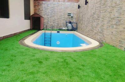China Landscape Artificial Grass Perfect For Leisure Applications Non Toxic For Children Playgrounds And Pet Areas for sale