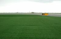 China 40mm Pile Height Anti-abrasion Artificial Turf for Airport Scenarios for sale