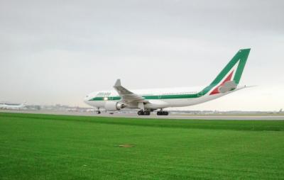 China 40mm Pile Height Anti-abrasion Artificial Turf for Airport Scenarios for sale