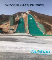 China Multi-functional High Density Anti Abrasion 25mm Artificial Turf for Skiing Resorts for sale