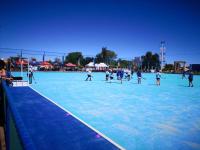 China FIH Certified Hockey Artificial Turf with 14mm Pile Height and Water Spray for Consistent Play for sale