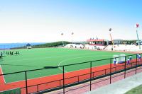 China High Density Sports Artificial Grass 18mm Golf Hockey Padel Turf PP Material PU Backing Great UV Resistance for sale