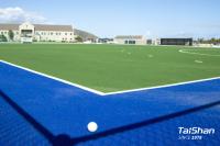 China FIH Certified Hockey Artificial Turf With 17mm Pile Height Water Spray No Heavy Metals For Consistent Play for sale