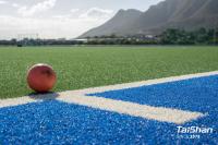 China FIH Certified Hockey Artificial Turf With 17mm Pile Height Water Spray No Heavy Metals For Consistent Play for sale