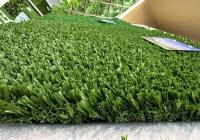 China 36mm Grass Height High Density FIFA Standard Non-Infill Artificial Turf for Sports Fields for sale