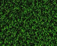 China 36mm Grass Height High Density FIFA Standard Non-Infill Artificial Turf for Sports Fields for sale