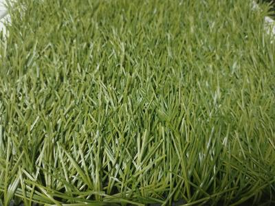 China 55mm Pile Height 8000 Dtex 220 Stitches Per Meter High Density Football Artificial Turf for Stadiums and Training Places for sale