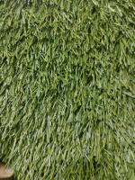 China 55mm Pile Height 8000 Dtex 220 Stitches Per Meter High Density Football Artificial Turf for Stadiums and Training Places for sale