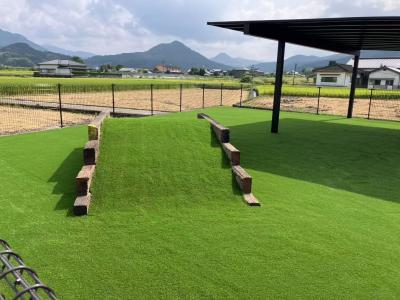 China 40mm Pile Height High Density Multicolor Synthetic Leisure Grass for Backyards and Gardens for sale