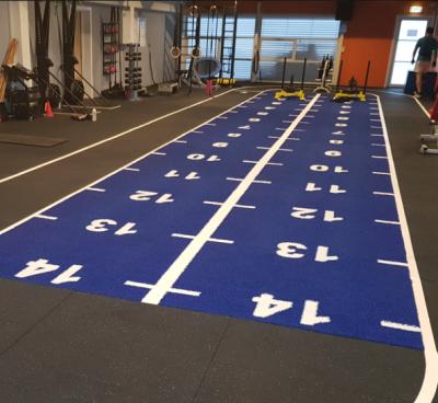 China 16mm Pile Height Sled Turf with Customized Color Pattern and UV Resistance for Gym Fitness for sale