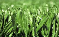 China 20mm Pile Height UV Resistant Tennis Artificial Turf for Multi-Functional Sports for sale