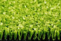China 15mm Thickness High Density Tennis Artificial Turf for Outdoor Multi-Functional Sports for Contractors and Distributors for sale