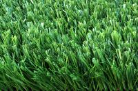 China UV Resistant Football Artificial Turf With 60mm Pile Height And No Heavy Metals For Long-Lasting Performance for sale