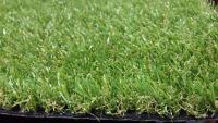 China 12000 Dtex High Durability Landscape Artificial Grass for Outdoor Use and Wholesale Distribution for sale