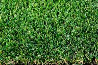 China 12000 Dtex High Durability Landscape Artificial Grass for Outdoor Use and Wholesale Distribution for sale