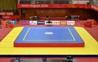 China IWUF Certified Wushu Mat and Sports Equipment for Multi-Sport Application with 12000mm × 18000mm × 90mm Size for sale