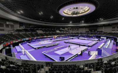 China IWUF Certified Wushu Mat and Sports Equipment for Multi-Sport Application with 12000mm × 18000mm × 90mm Size for sale