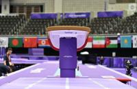 China IWUF Certified Wushu Mat and Sports Equipment for Multi-Sport Application with 12000mm × 18000mm × 90mm Size for sale