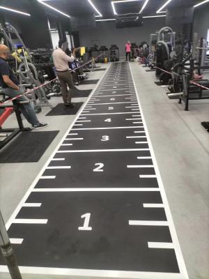 China High Density Artificial Turf for HYROX & SLED Sports with Customizable Logo and Easy Maintenance for sale