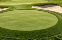 China 16mm PE Material High Density Golf Artificial Turf for Professional Putting Green for sale