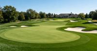 China 16mm PE Material High Density Golf Artificial Turf for Professional Putting Green for sale